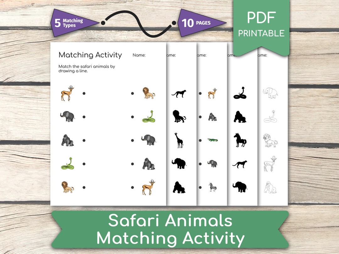Safari Animals Matching Activity 5 Different Types Worksheet • 10 Pages ...