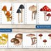 Mushrooms 1-10 Puzzles, Mushrooms Activity, Mushroom Number Puzzles ...