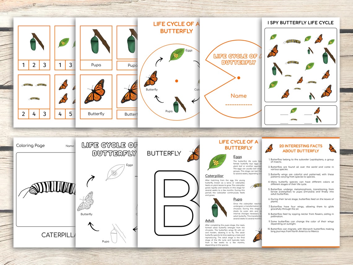 Butterfly Life Cycle Activity Bundle, Butterfly Activities, Learn ...