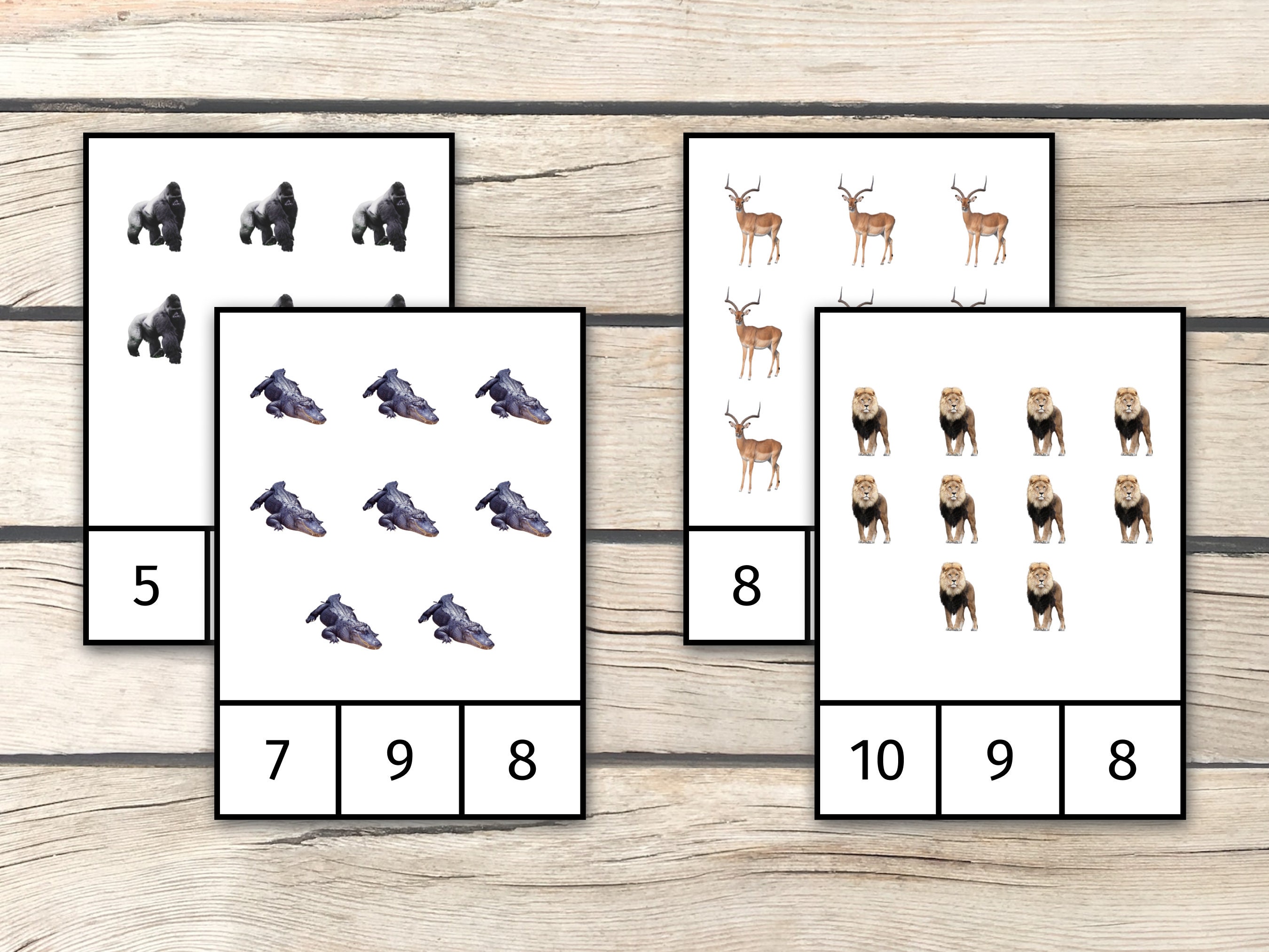 Safari Animals Counting Cards (real Pictures): Montessori Homeschool ...