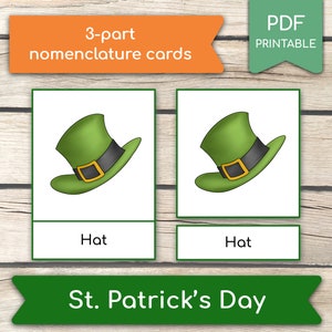 St. Patrick's Day 3-part Montessori Cards: Spring Vocabulary Activity ...