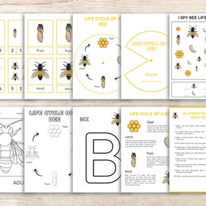Bee Life Cycle Activity Bundle: Educational Printable Set (PDF ...