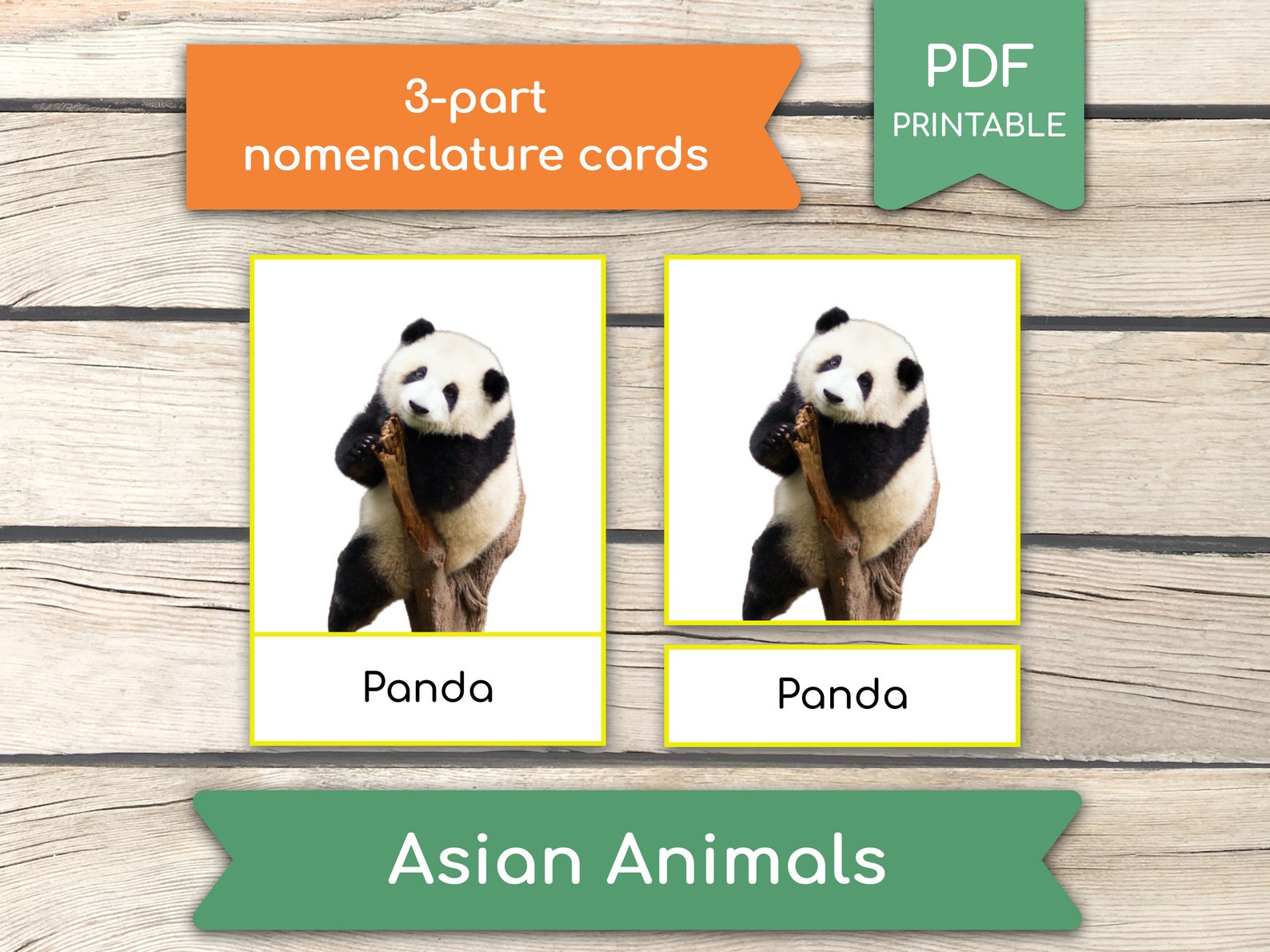 Asian Animals Montessori Cards, 3-part Cards, Nomenclature Flashcards ...