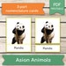 Asian Animals Montessori Cards, 3-part Cards, Nomenclature Flashcards ...