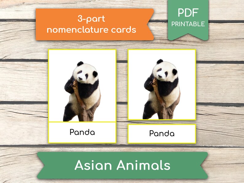 Asian Animals Montessori Cards, 3-part Cards, Nomenclature Flashcards ...