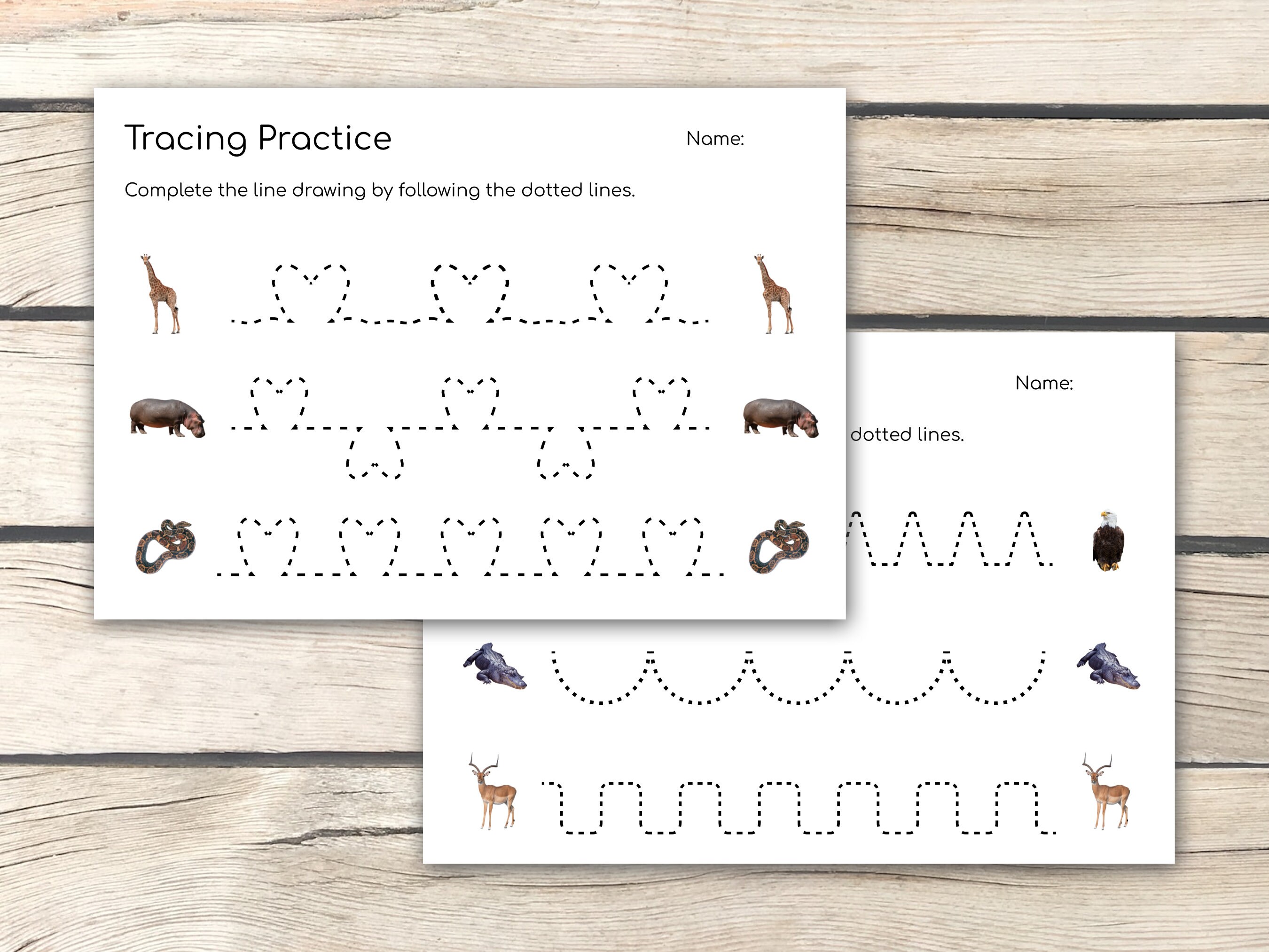 Preschool Line Tracing Practice, Safari Animals real Pictures Pre ...