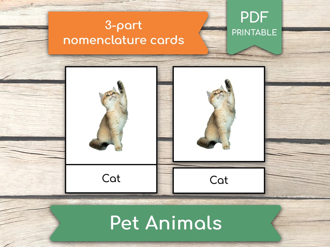 10 Pet Animals (real Pictures) Montessori Cards, Pet Animals Cards ...