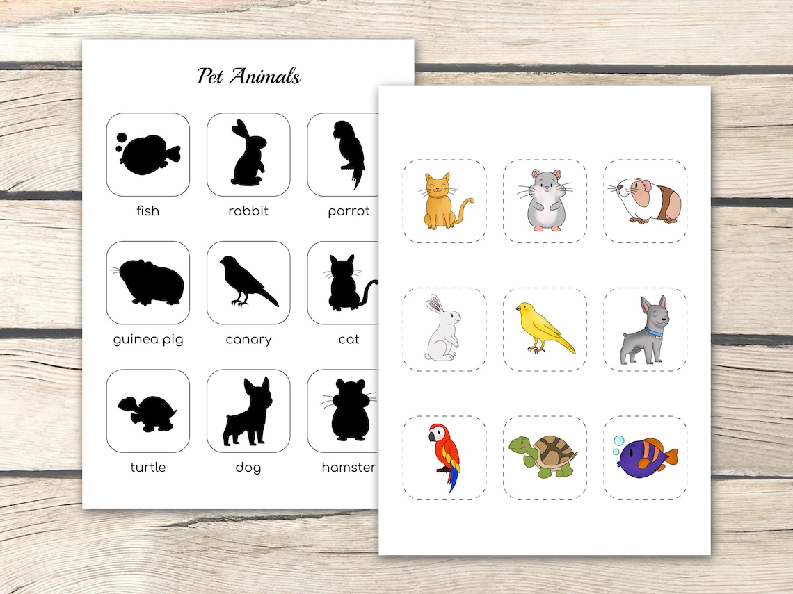 Pet Animals Shadow Matching Game, Pet Animals Worksheet, Matching ...
