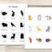 Pet Animals Shadow Matching Game, Pet Animals Worksheet, Matching ...