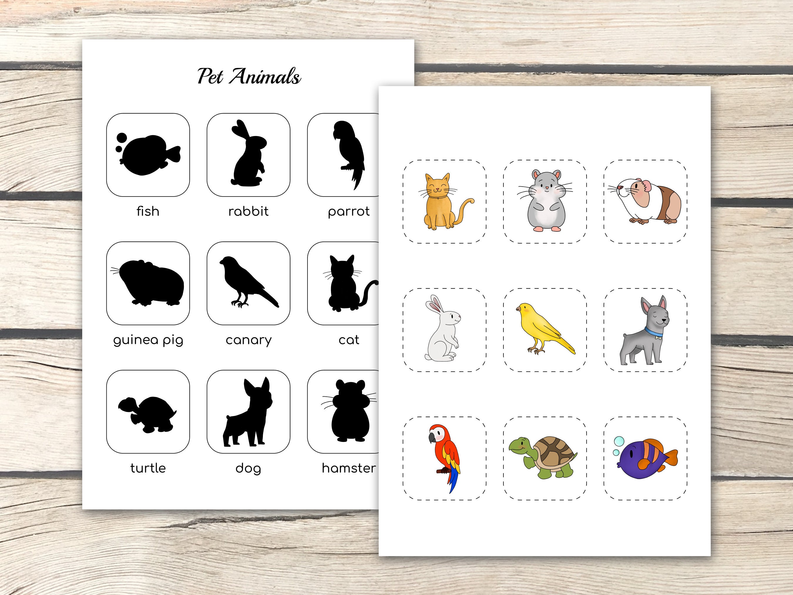Pet Animals Shadow Matching Game, Pet Animals Worksheet, Matching ...