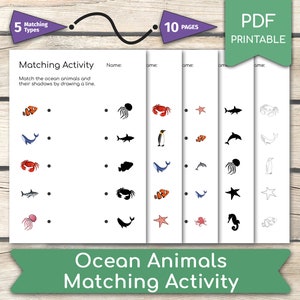 Ocean Animals Matching Activity 5 Different Types Worksheet 10 Pages ...