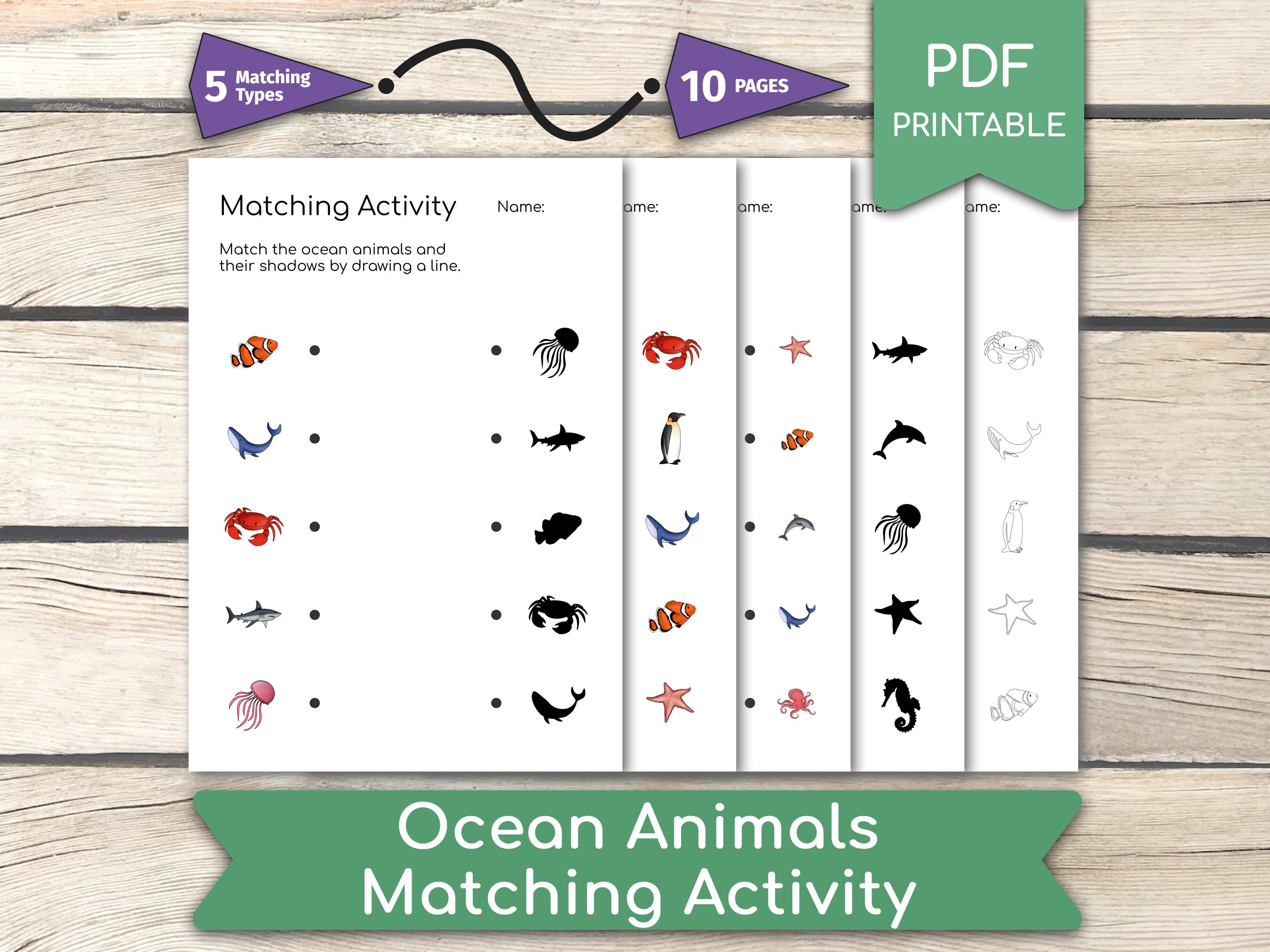 Ocean Animals Matching Activity 5 Different Types Worksheet 10 Pages ...