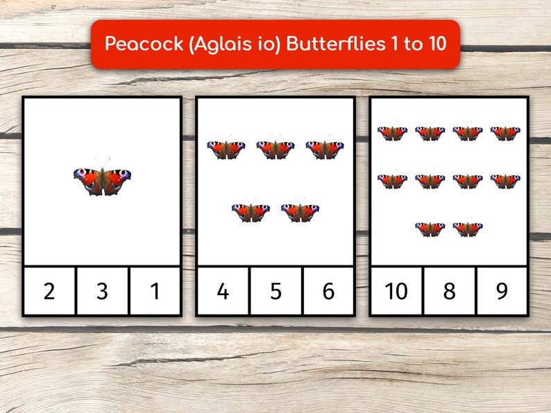 Counting Types of Butterflies 1 to 10, Montessori Cards, Preschool ...