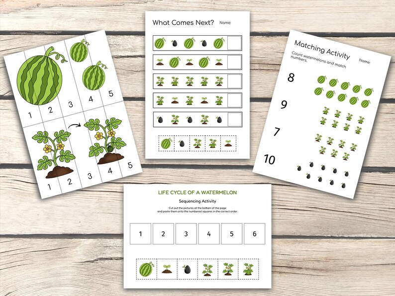 Watermelon Life Cycle Activity Bundle: Educational Printable Set (PDF ...