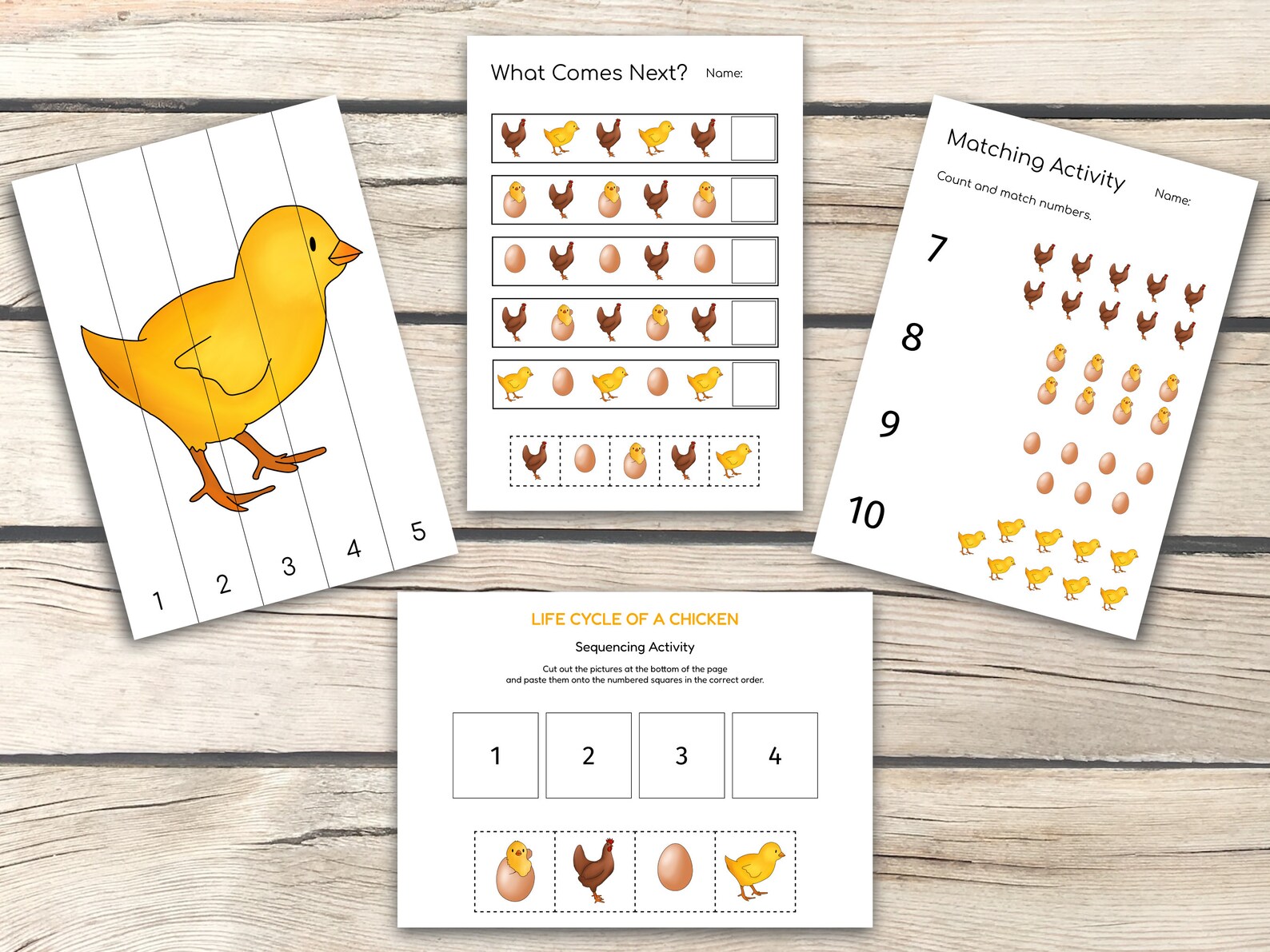Chicken Life Cycle Activity Bundle: Educational Printable Set (PDF ...