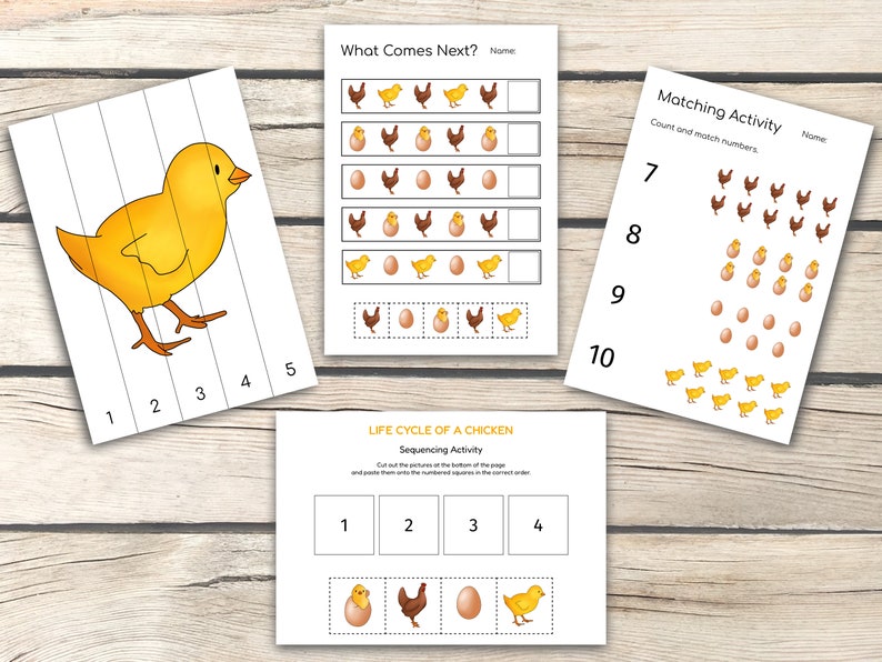 Chicken Life Cycle Activity Bundle, Chicken Activities, Learn Chicken ...