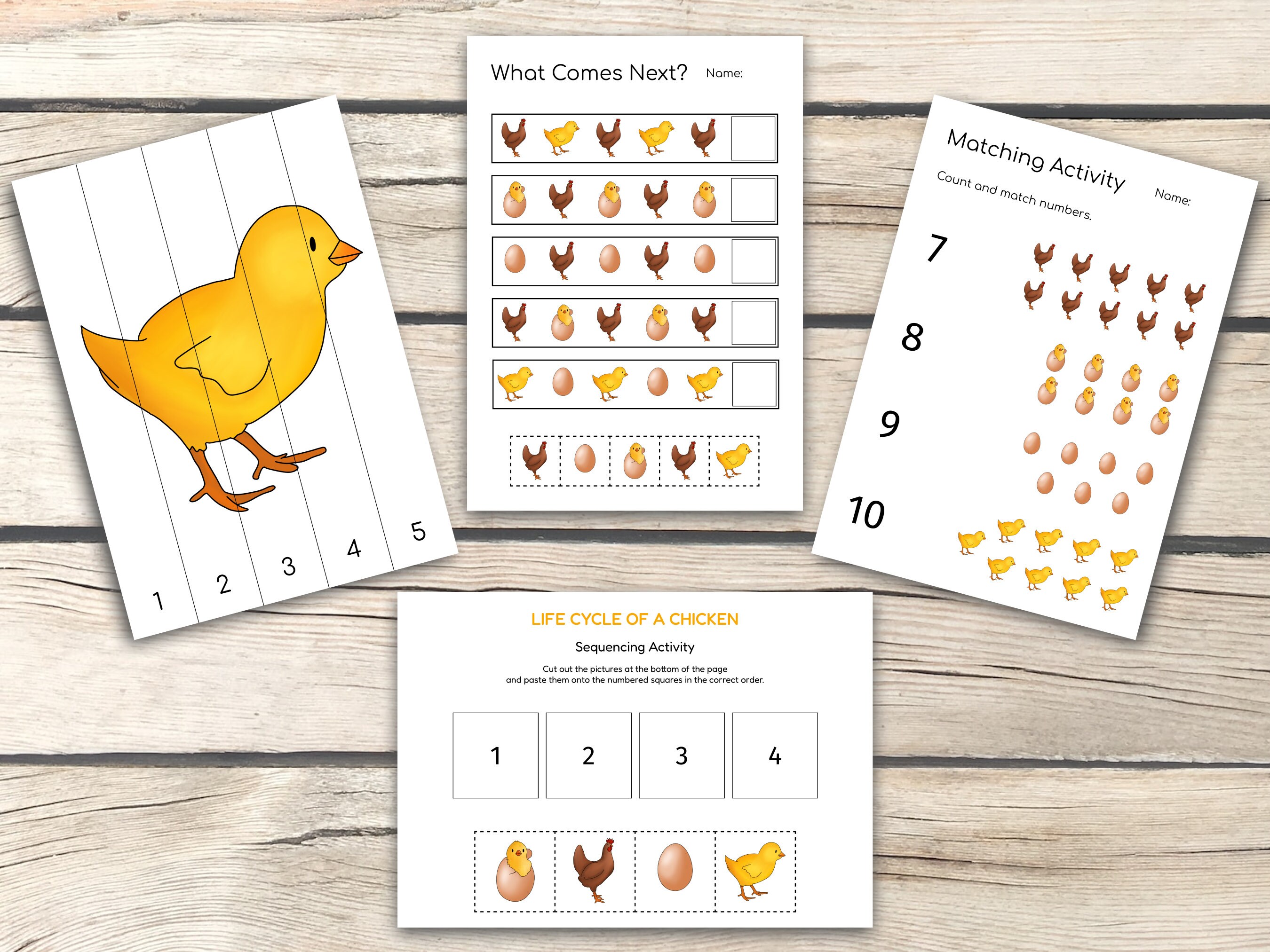 Chicken Life Cycle Activity Bundle, Chicken Activities, Learn Chicken ...