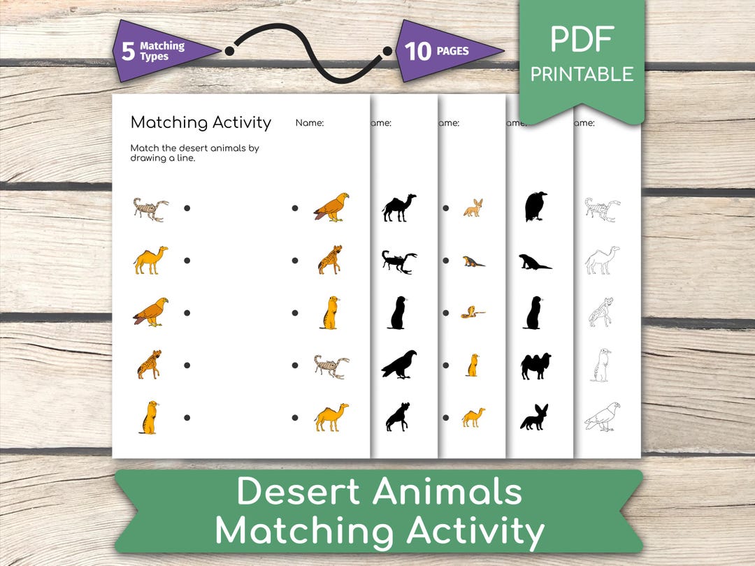 Desert Animals Activity 5 Different Types Worksheet • 10 Pages ...