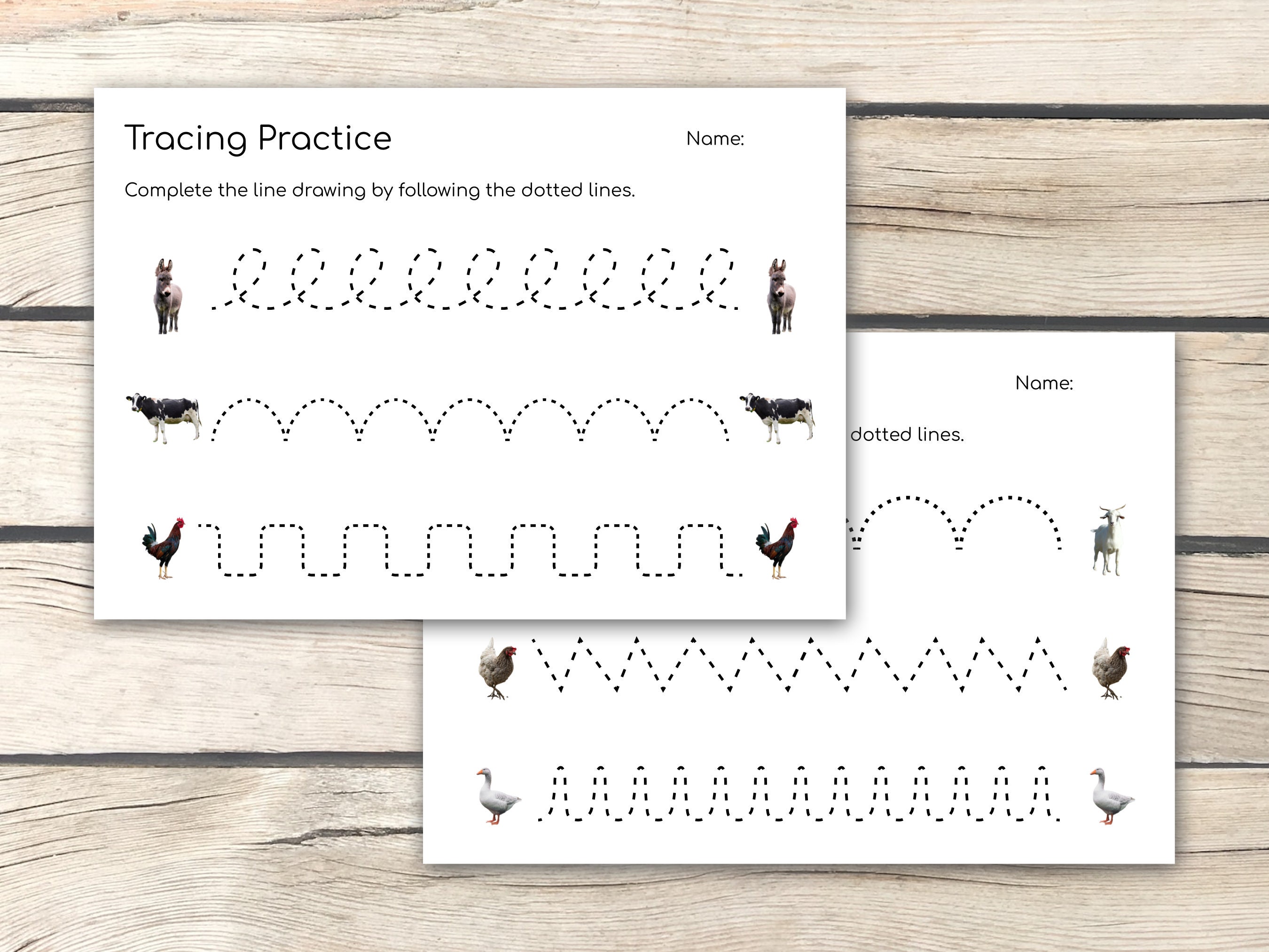 Preschool Line Tracing Practice, Farm Animals Pre-writing Activities 8 ...