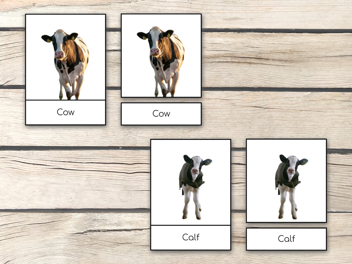 Animals and Their Babies Montessori Cards: Homeschool Printable (PDF ...