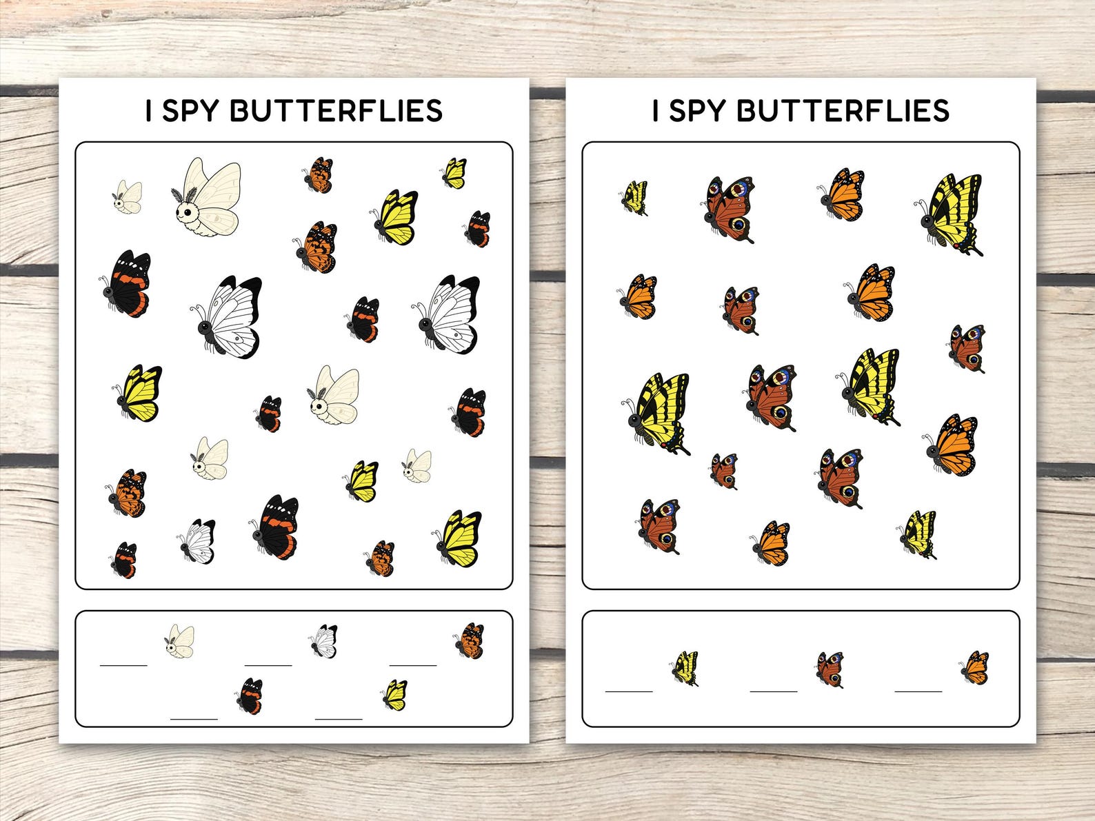 Butterflies I Spy Worksheet, Butterflies Activity, I Spy Activity ...