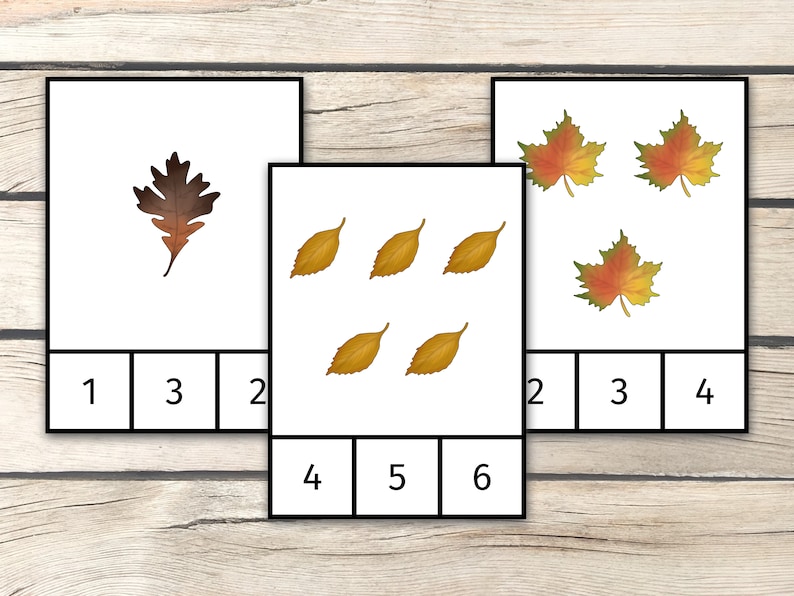 Fall Leaves Counting Cards: Montessori Preschool Activity (PDF ...