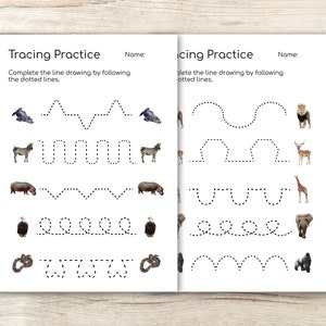 Preschool Line Tracing Practice, Safari Animals (real Pictures) Pre ...