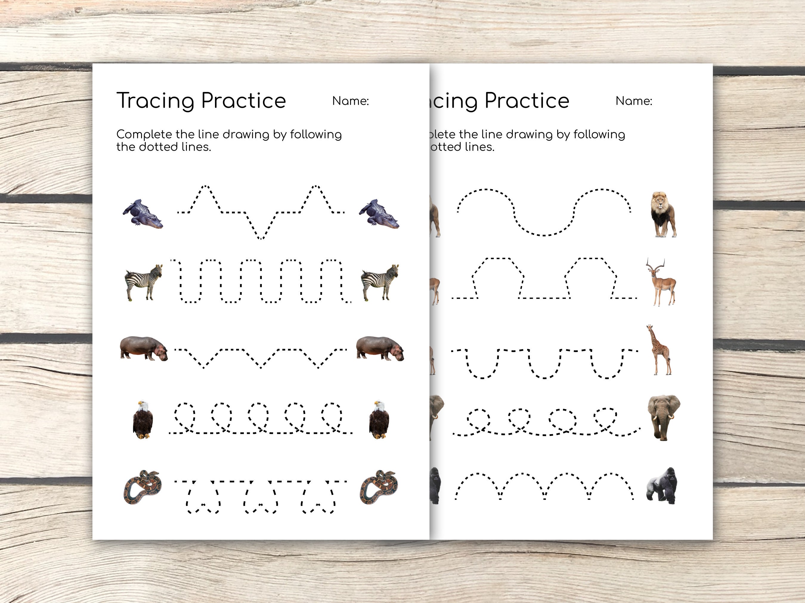 Preschool Line Tracing Practice, Safari Animals real Pictures Pre ...