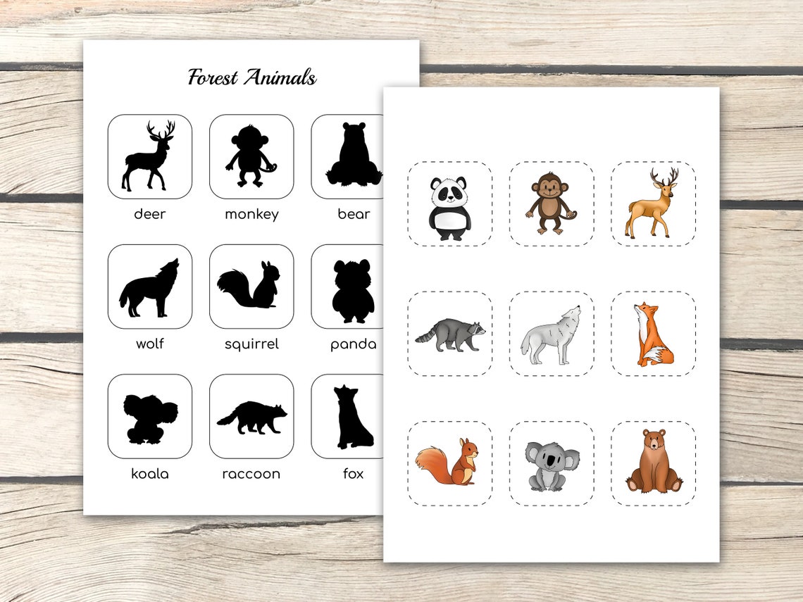 Forest Animals Shadow Matching Game, Forest Animals Worksheet, Matching ...