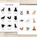 Forest Animals Shadow Matching Game, Forest Animals Worksheet, Matching ...