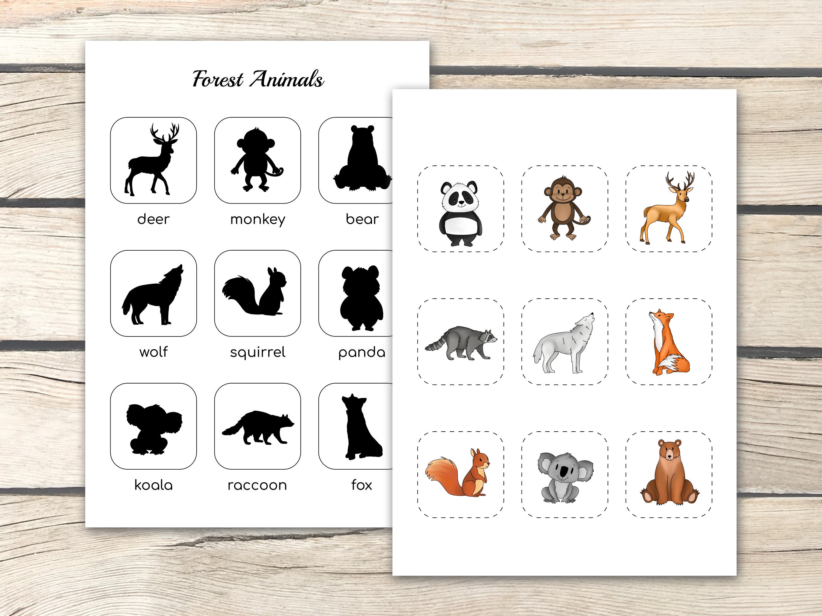 Forest Animals Shadow Matching Game, Forest Animals Worksheet, Matching ...