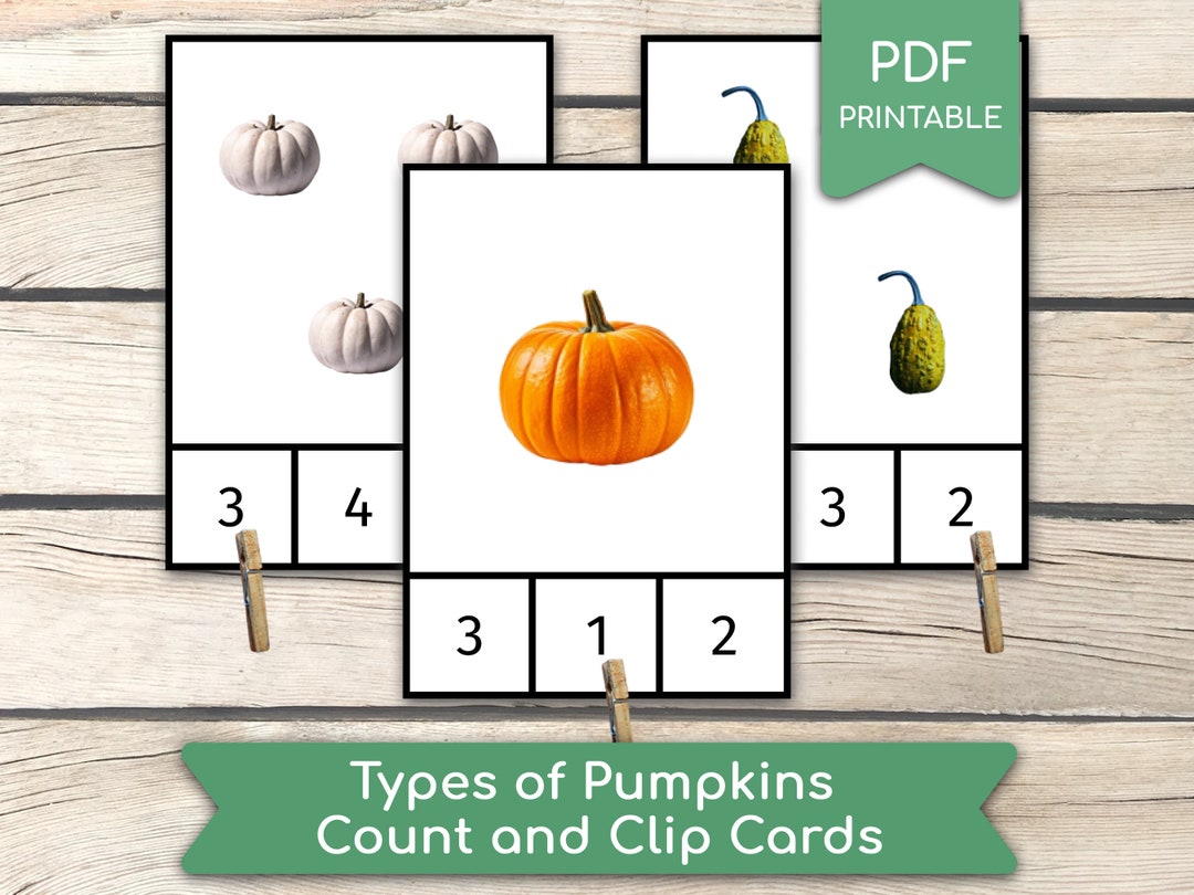 Counting Types of Pumpkins 1 to 10 real Pictures Montessori Cards ...