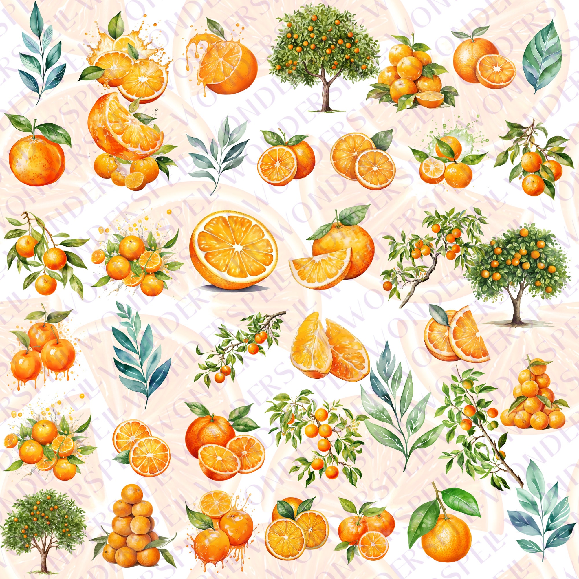 Watercolor Orange Clipart, Orange PNG, Printable Kitchen Decor Graphics ...
