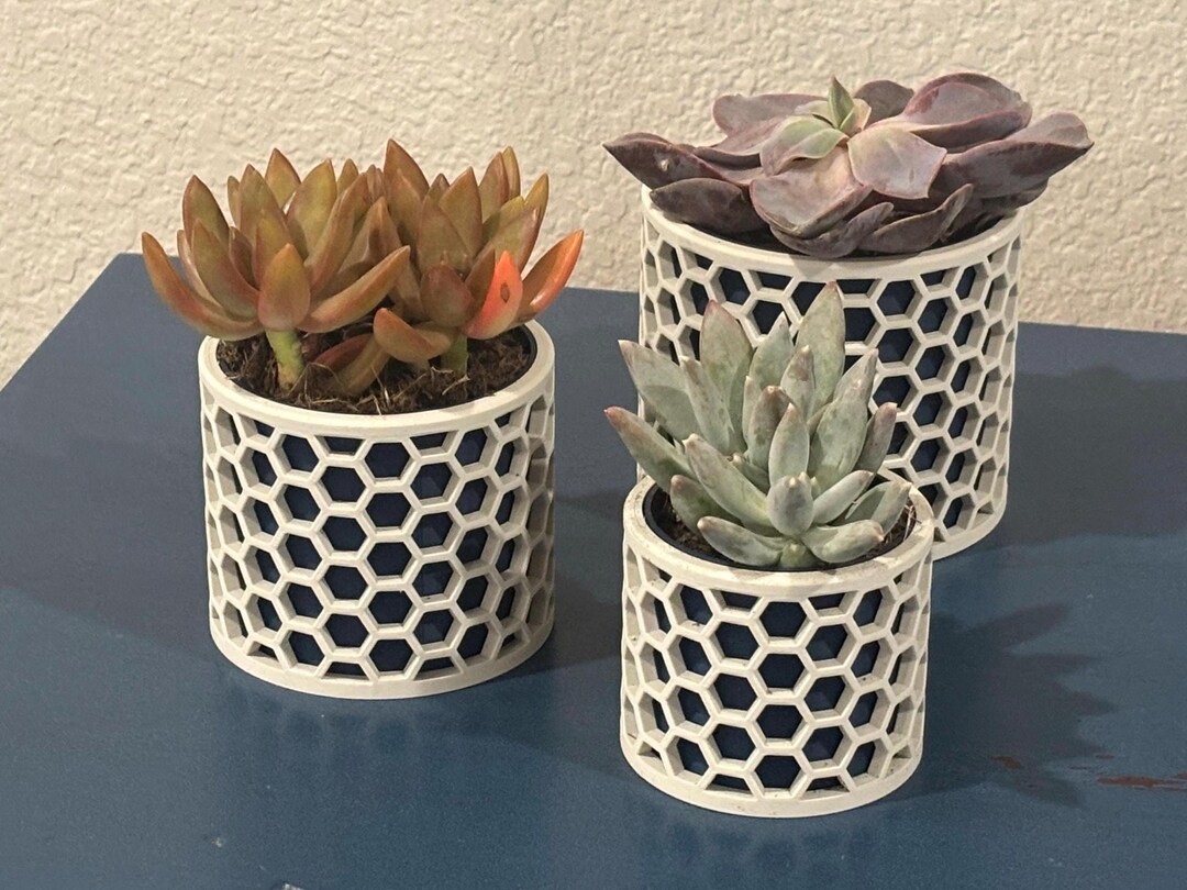 Set of 3 Multi Color Flower Pots - Modern Decorative Planter for Indoor ...