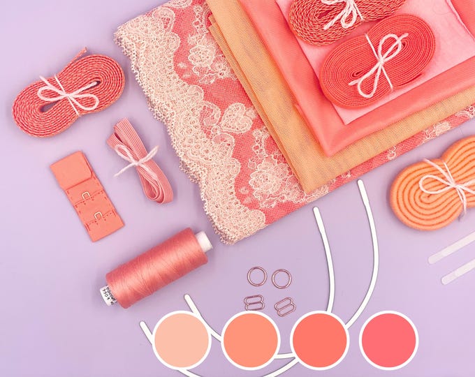 Bra & Panty Making Kit, Lingerie Sewing Kit, Bra Making Kit, Bra Making ...