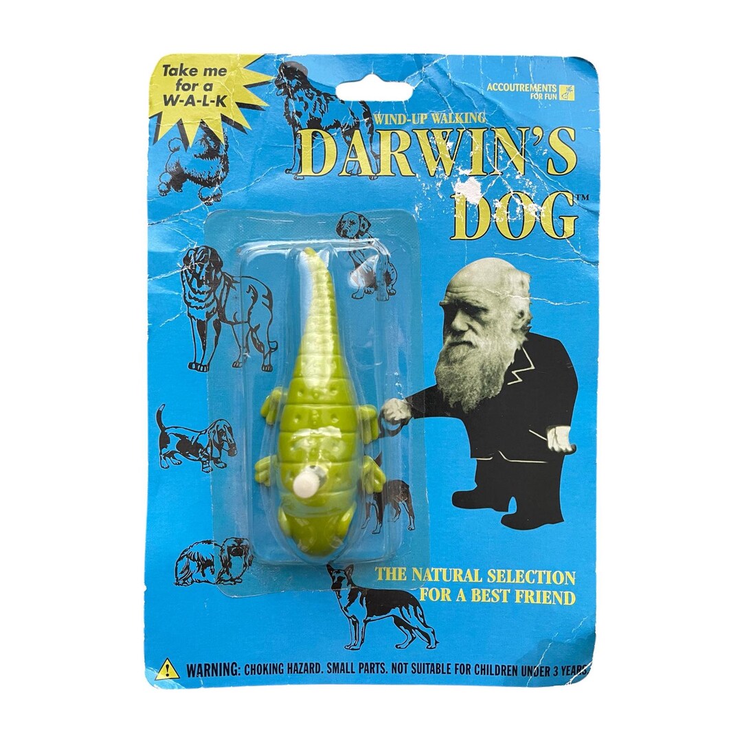 1998 Darwin's Dog | Toy | Wind-up Walking | Green Lizard | Vintage ...