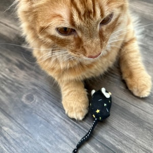 Handmade Organic Catnip Mice Toy: Soft Plush Assorted Styles - Etsy