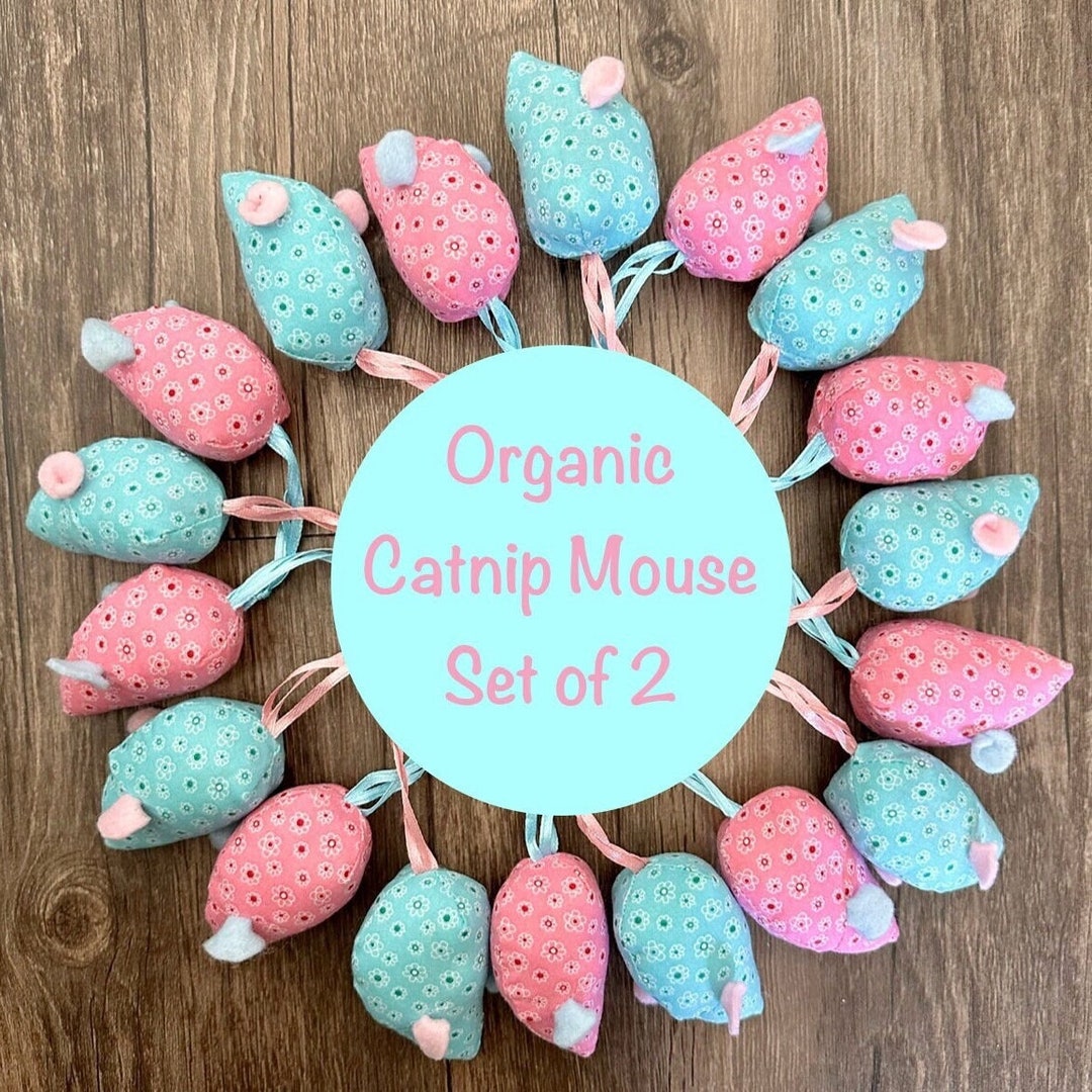 Organic Catnip Mouse Toy Set, Handmade Plush Cotton Cat Toy - Etsy