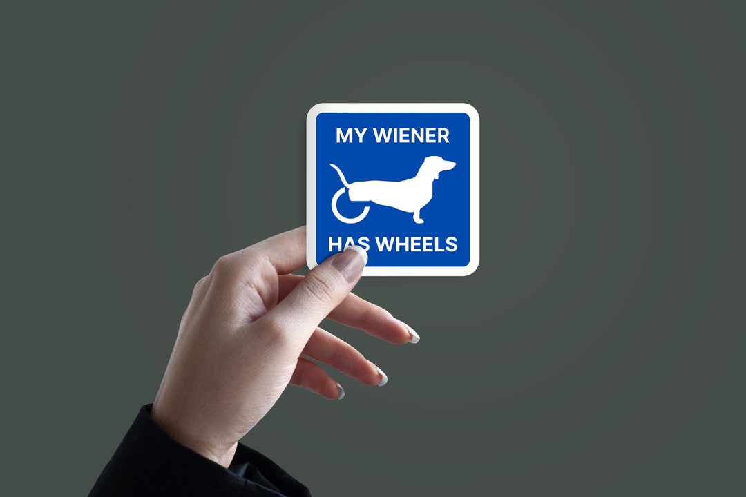 My Wiener Has Wheels Vinyl Sticker: Handicap Dachshund Decal - Etsy