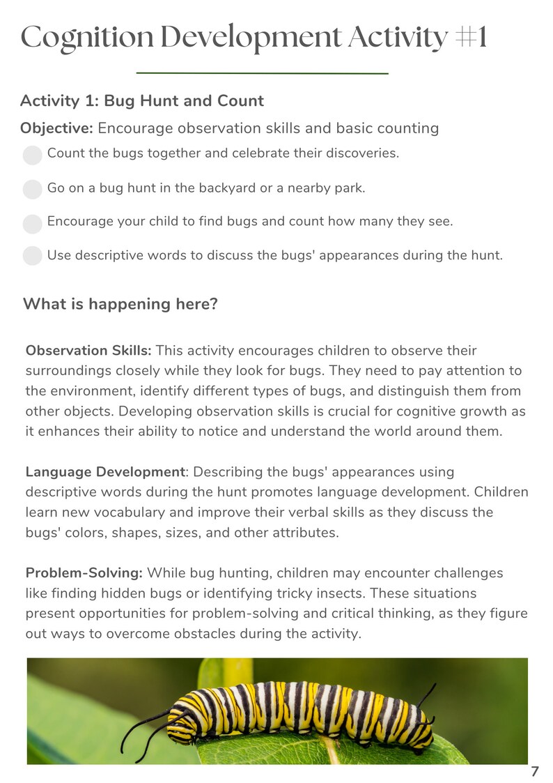 Bug Educational Activities for Toddlers A Workbook - Etsy