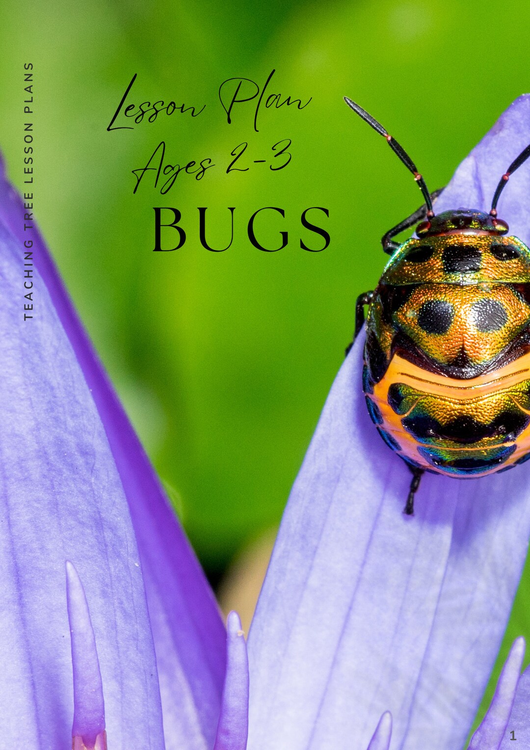 Bug Educational Activities for Toddlers A Workbook - Etsy