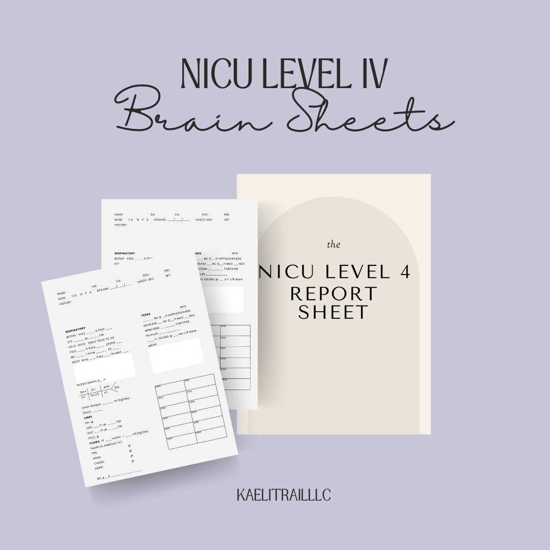 NICU Level IV Report Sheet Dayshift & Night Shift - Etsy