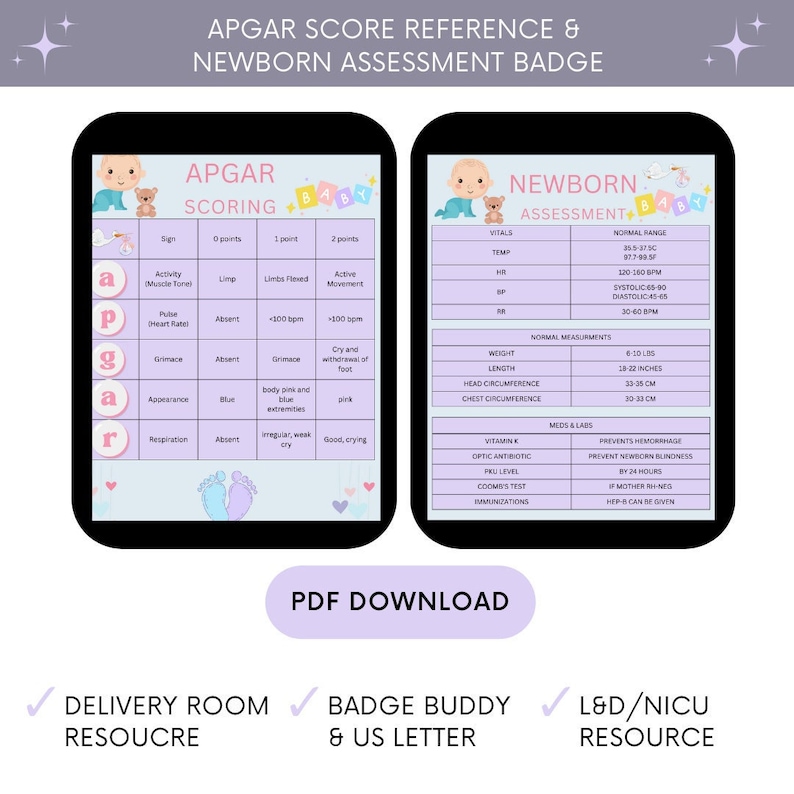 APGAR Score Reference & Newborn Assessment Badge Buddy Card Maternity ...
