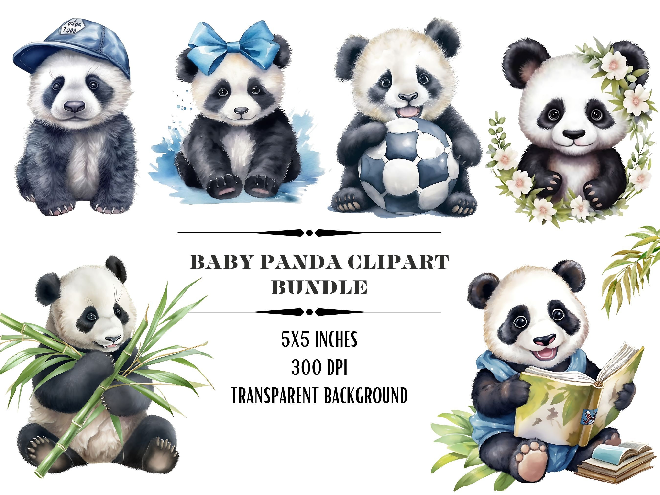 Watercolor Happy Panda Clipart Cute Panda Clipart Bundle - Etsy
