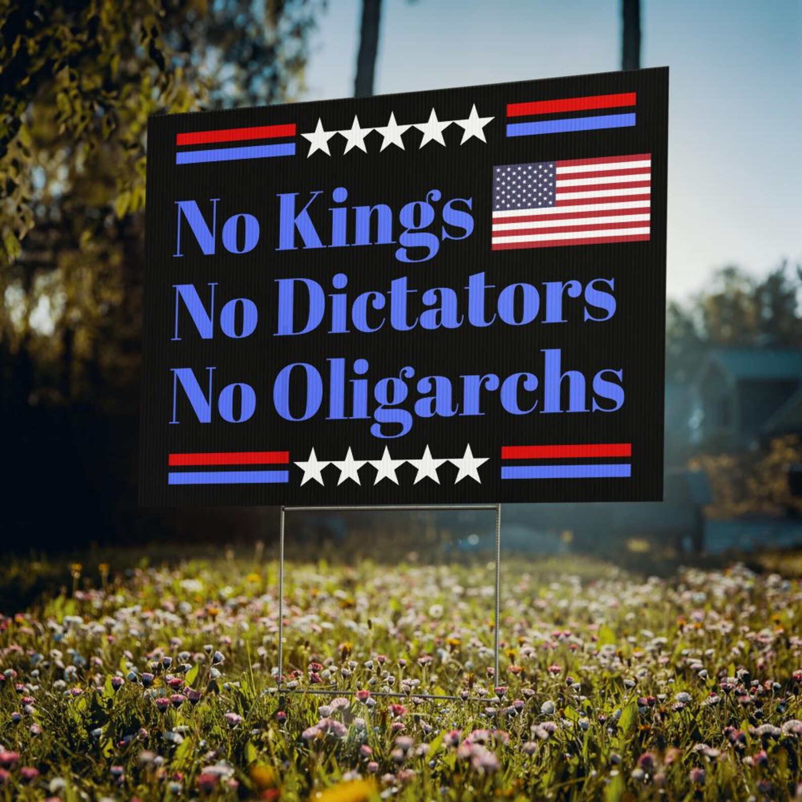 No Kings No Dictators No Oligarchs Yard Sign – Pro-democracy Lawn Decor ...