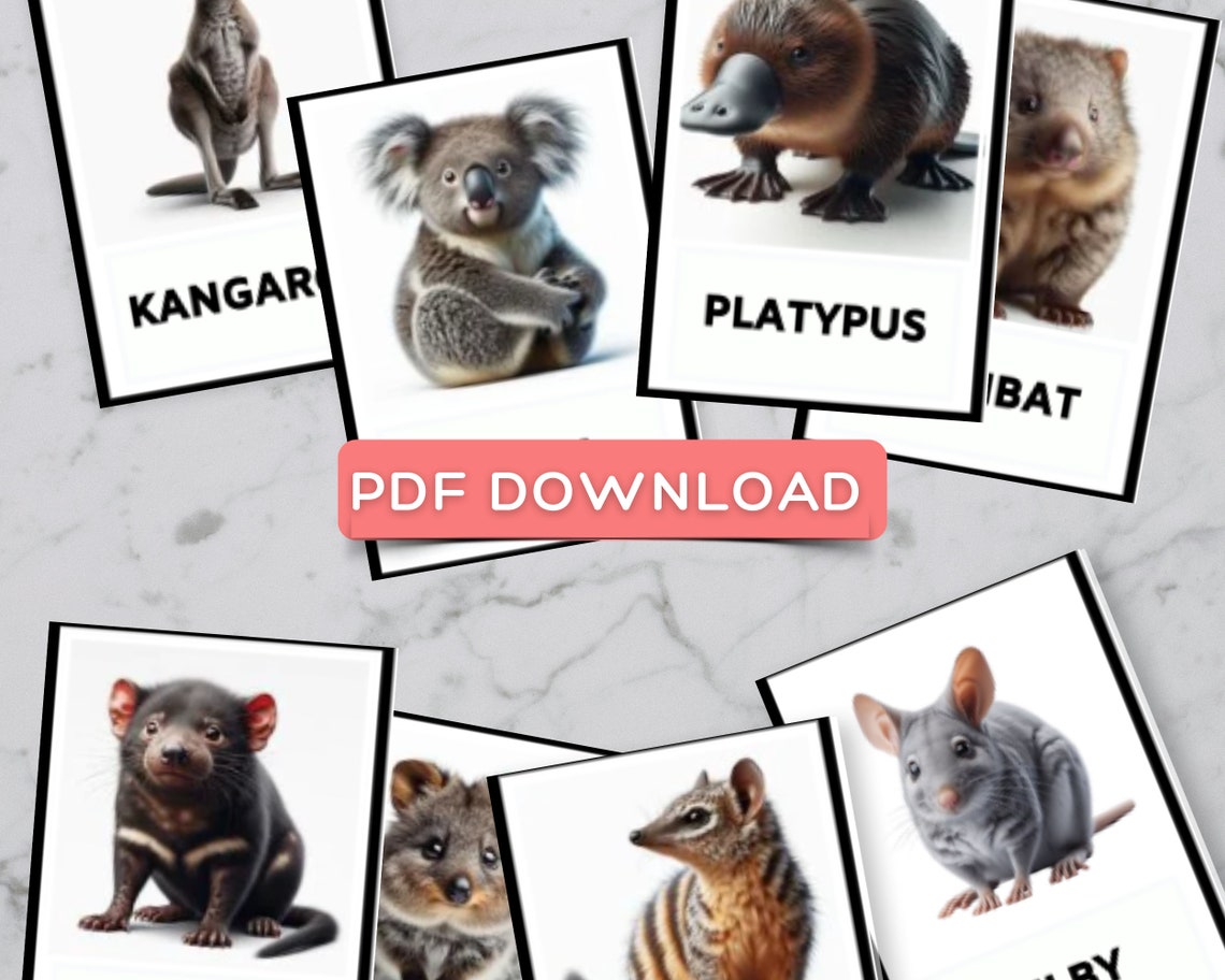 Australian Animal Flashcards 3 Part Cards Matching Games Toddlers ...