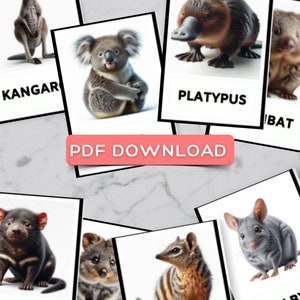 Australian Animal Flashcards - 3 Part Cards - Matching Games - Toddlers ...