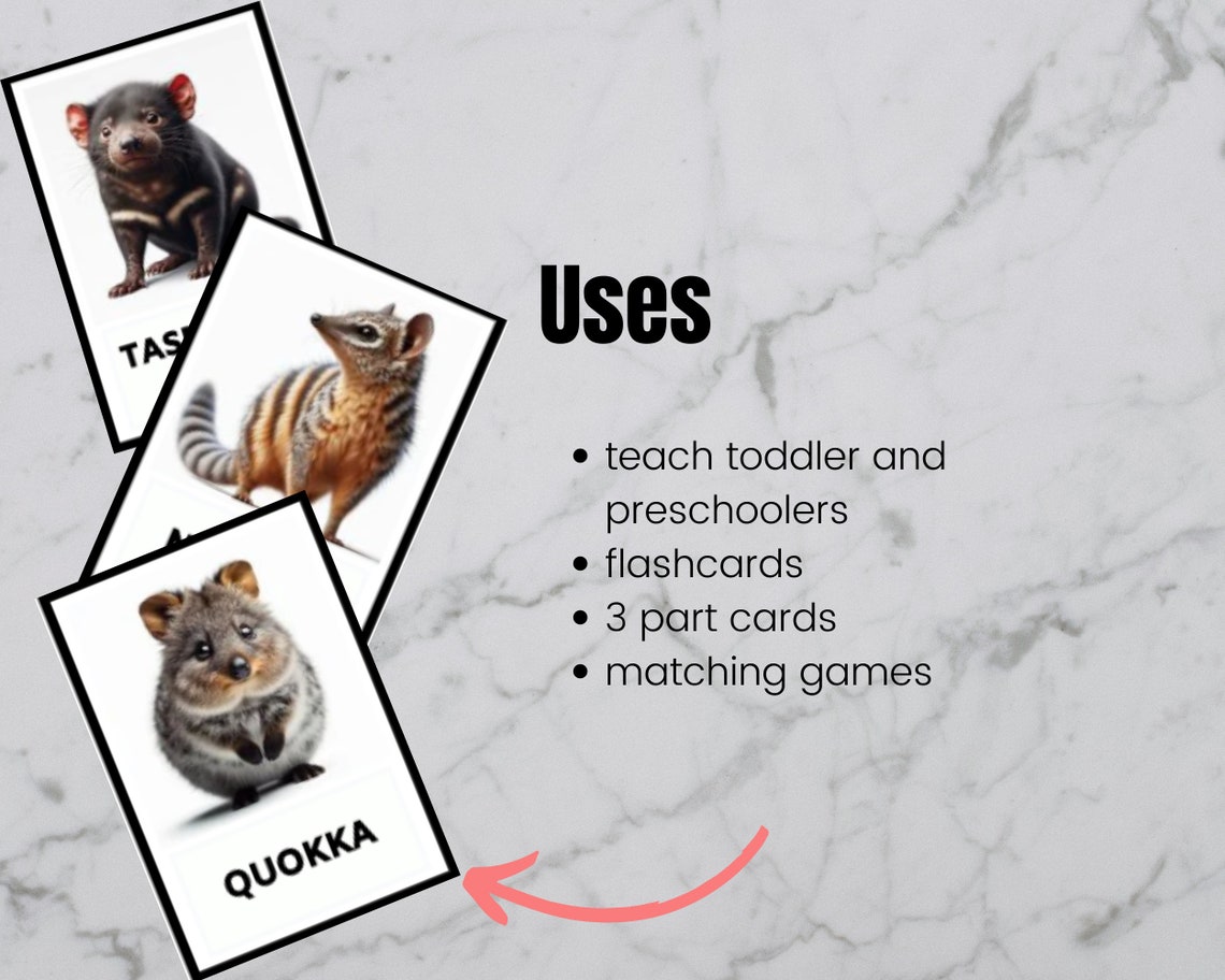 Australian Animal Flashcards 3 Part Cards Matching Games Toddlers ...