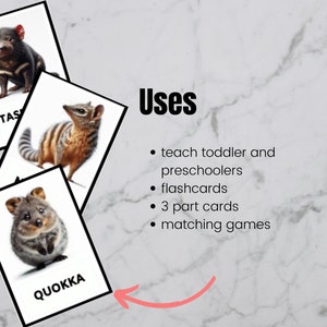 Australian Animal Flashcards - 3 Part Cards - Matching Games - Toddlers ...