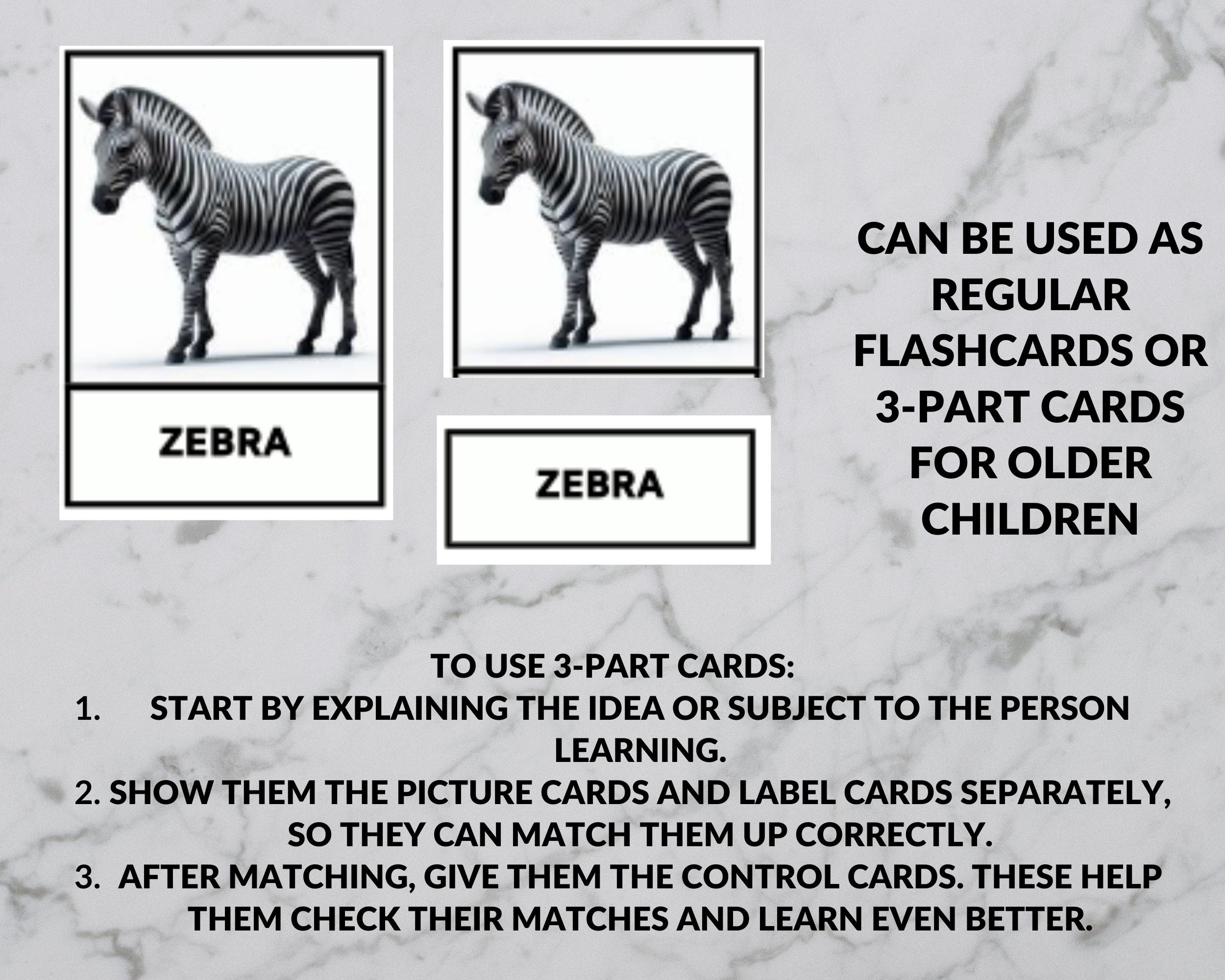 Jungle / Grassland Animal Flashcards - Montessori 3- Part Cards ...